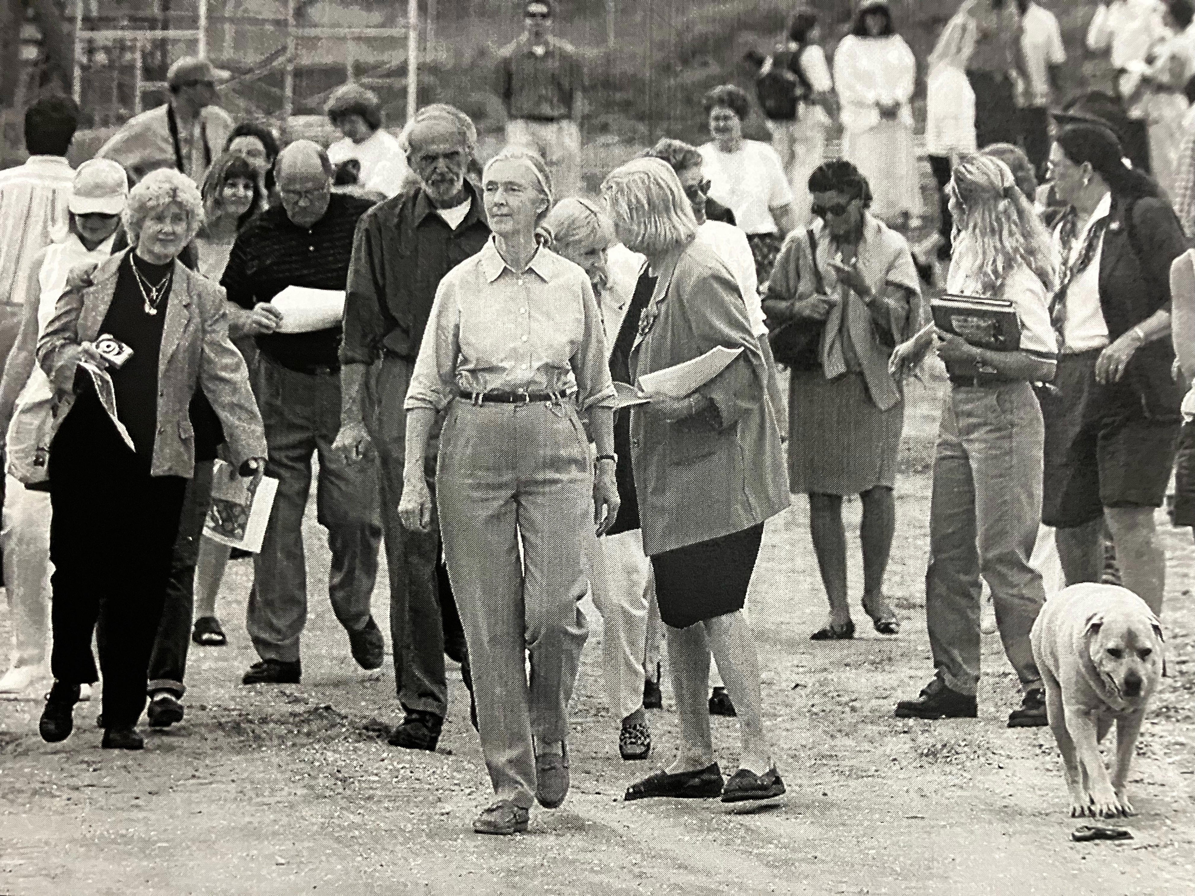 Jane Goodall visited Save the Chimps in Fort Pierce, taught sanctuary ...