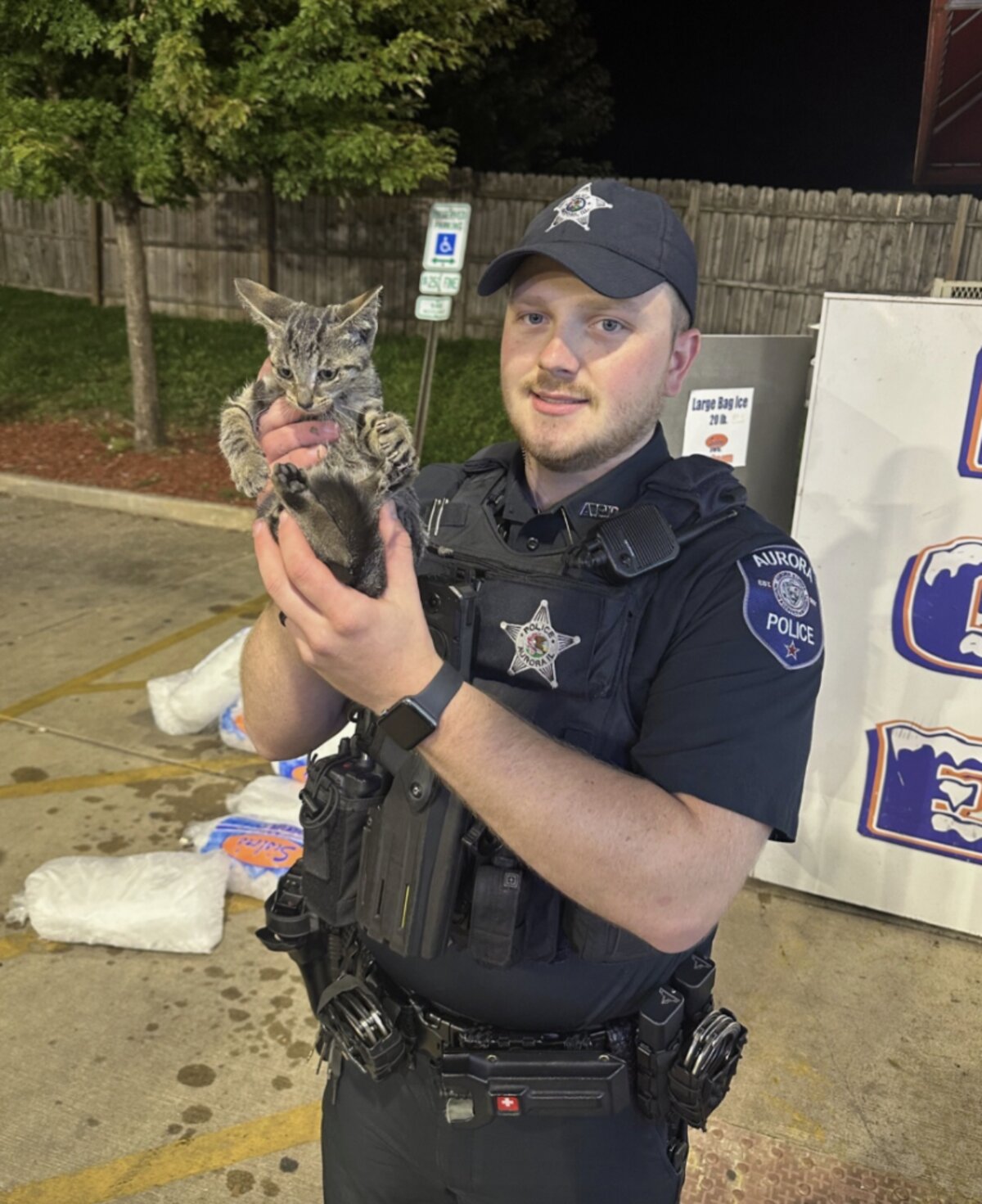 Officers Rush To Move 1,000 Pounds Of Ice To Save Baby Animal Trapped ...