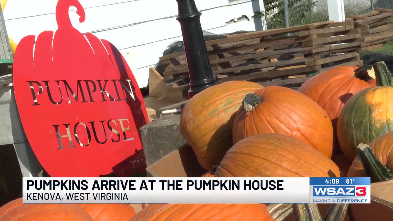 Pumpkins arrive at the Pumpkin House
