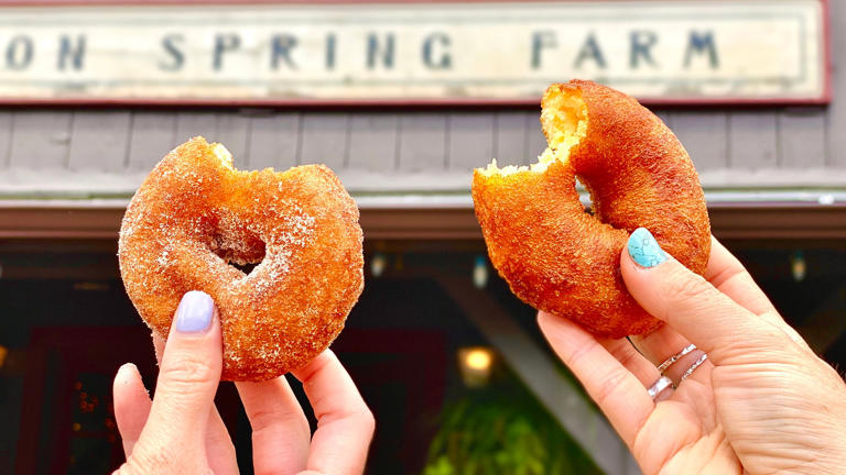 The best cider doughnuts in New England this fall 2025, according to ...