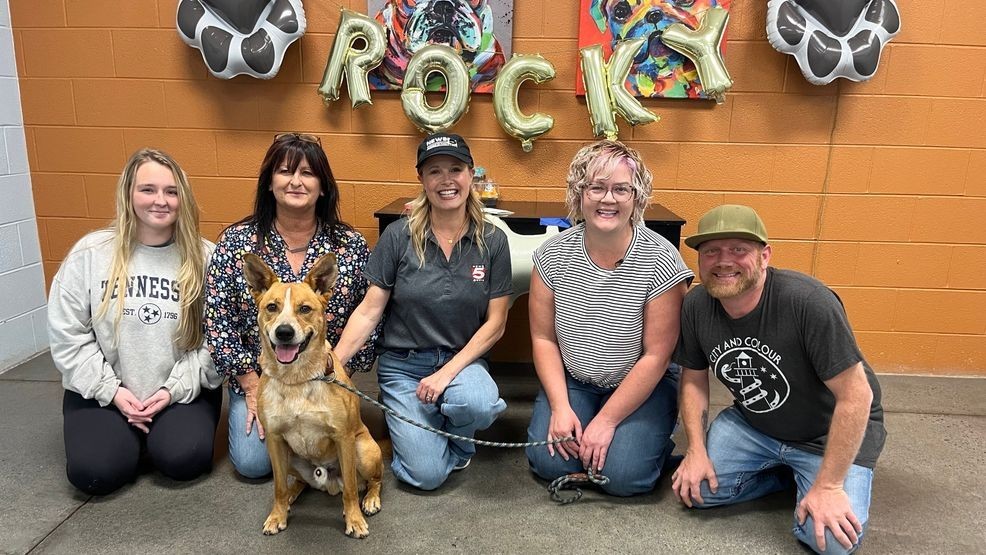 Rocky finds forever home after 843 days in Washington County-Johnson ...