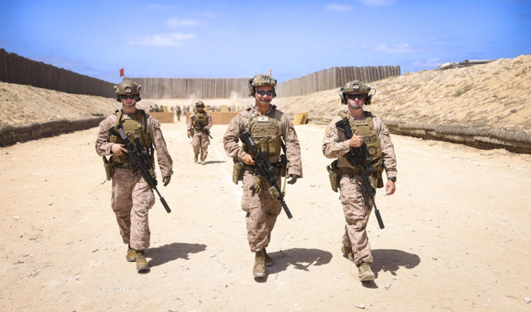 US Special Operators Are Getting a Drone-Killing Robot