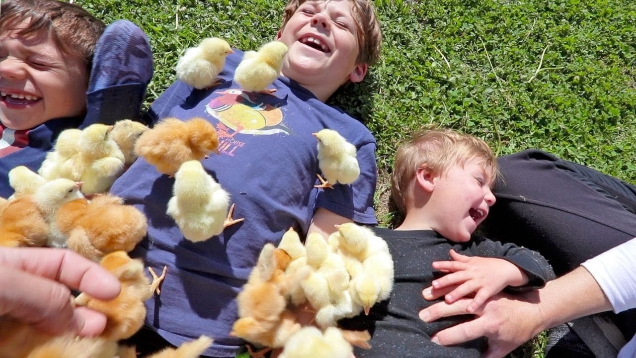 Have you ever had a chick bath?