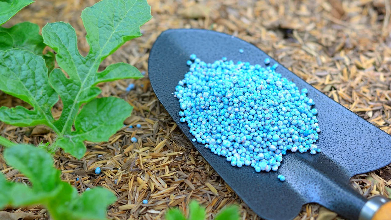 Nothing Good Happens When You Use Blue Fertilizers In Your Garden