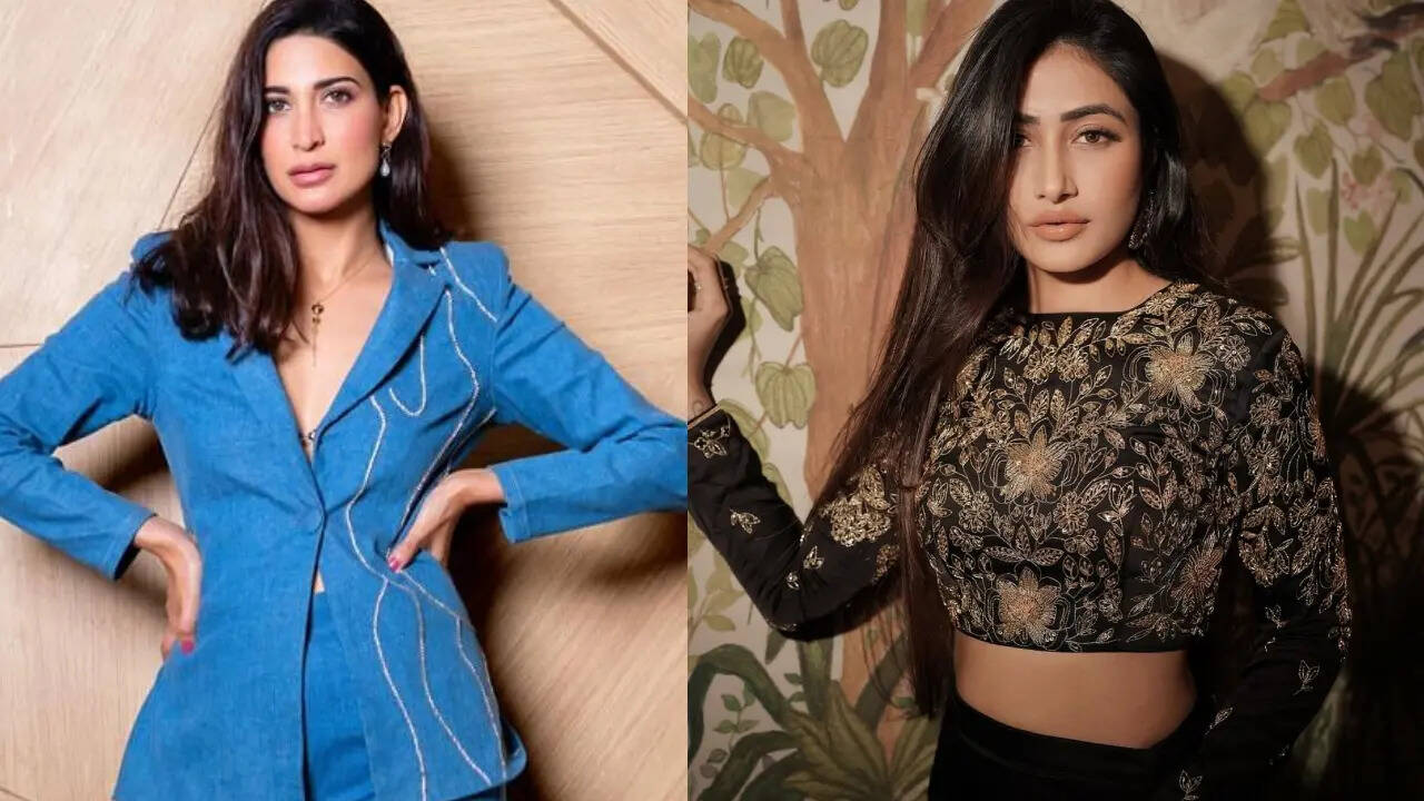 Rise And Fall's Aahana Kumra On Dhanashree Verma Discussing Her Divorce ...