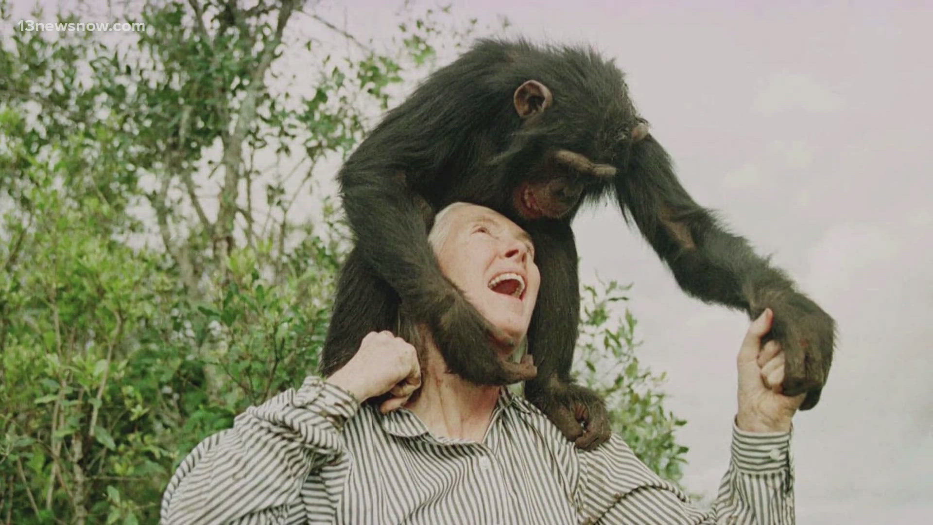 Remembering Dr. Jane Goodall