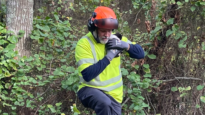 RIDOT workers rescue 4 kittens