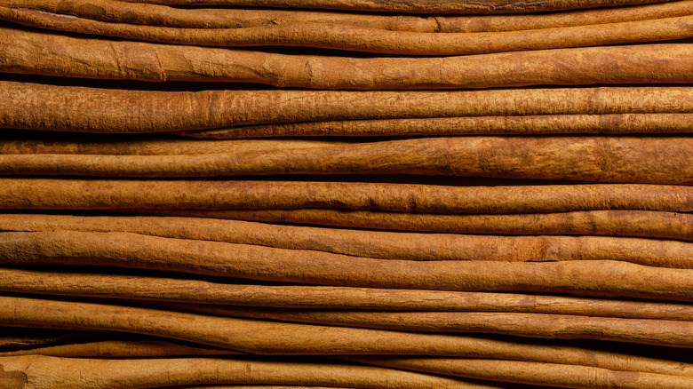 The Ultimate Guide To Different Types Of Cinnamon And Their Uses