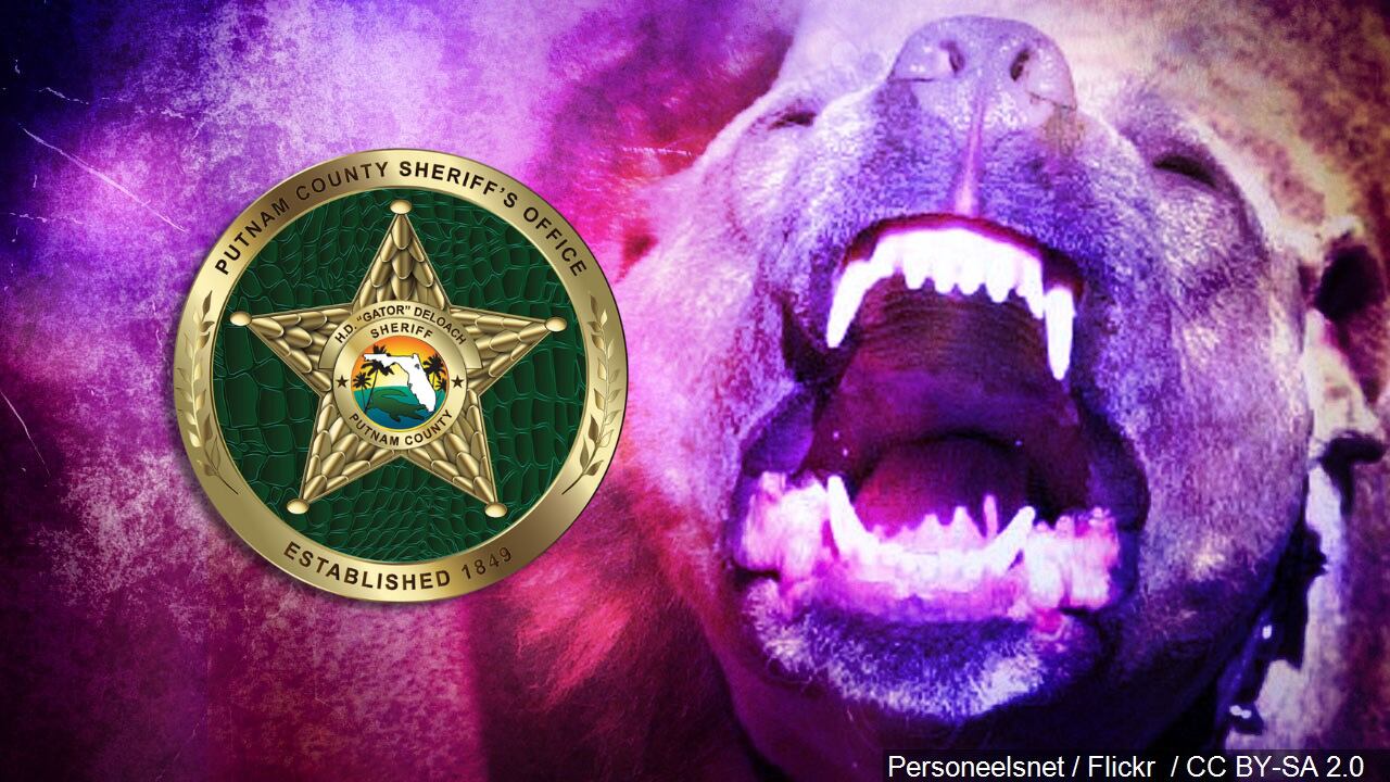 Deputies find suspected ‘vicious’ dog after woman attacked in Putnam County
