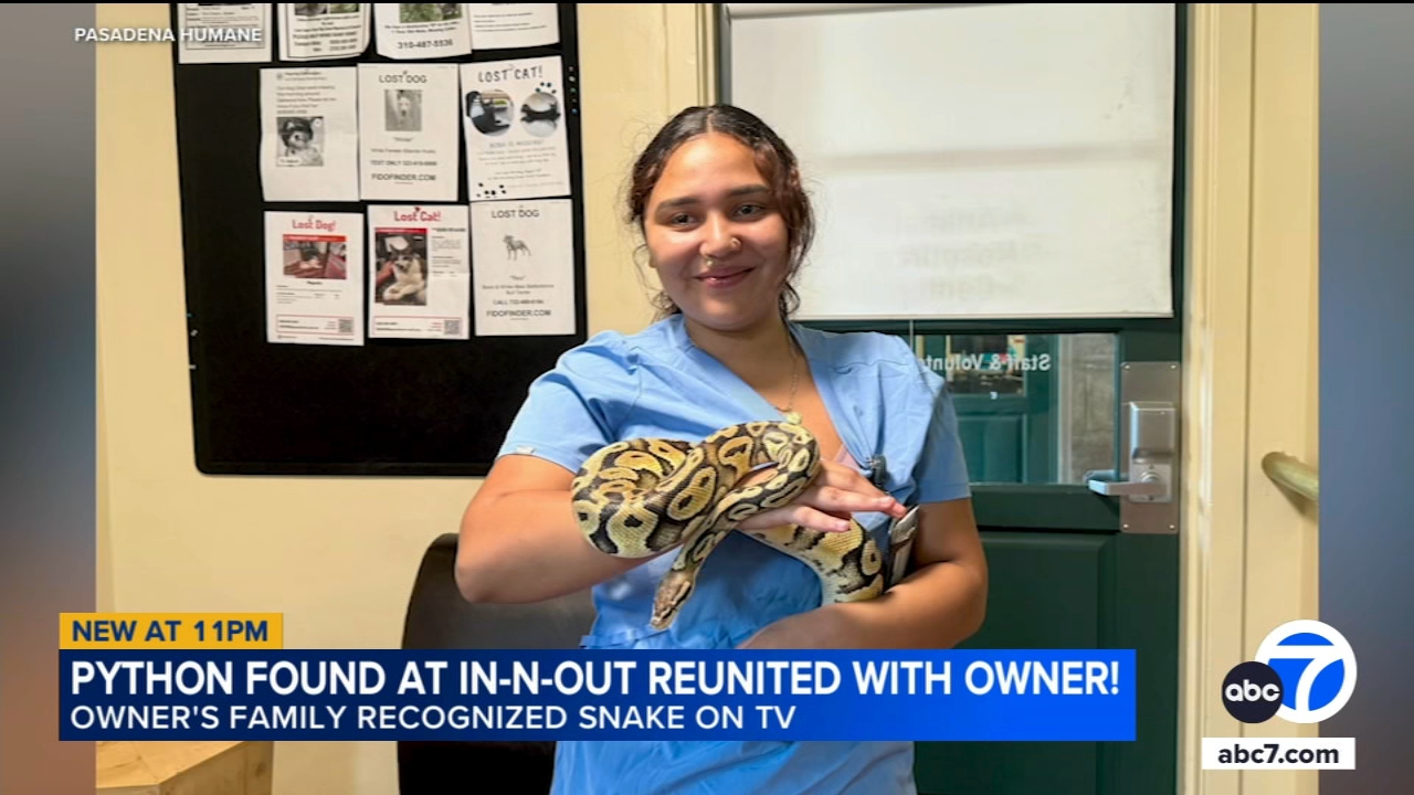 Python found by worker at In-N-Out in Monrovia reunited with owner