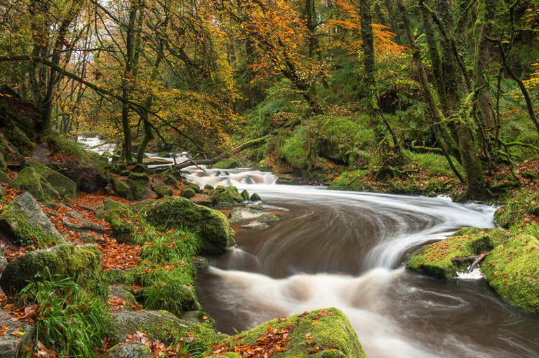 Cornwall's 'fairytale' woodland with 'beautiful waterfall' is a 'must ...