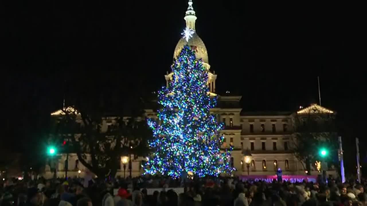 State Christmas tree selected for 2025 holiday season