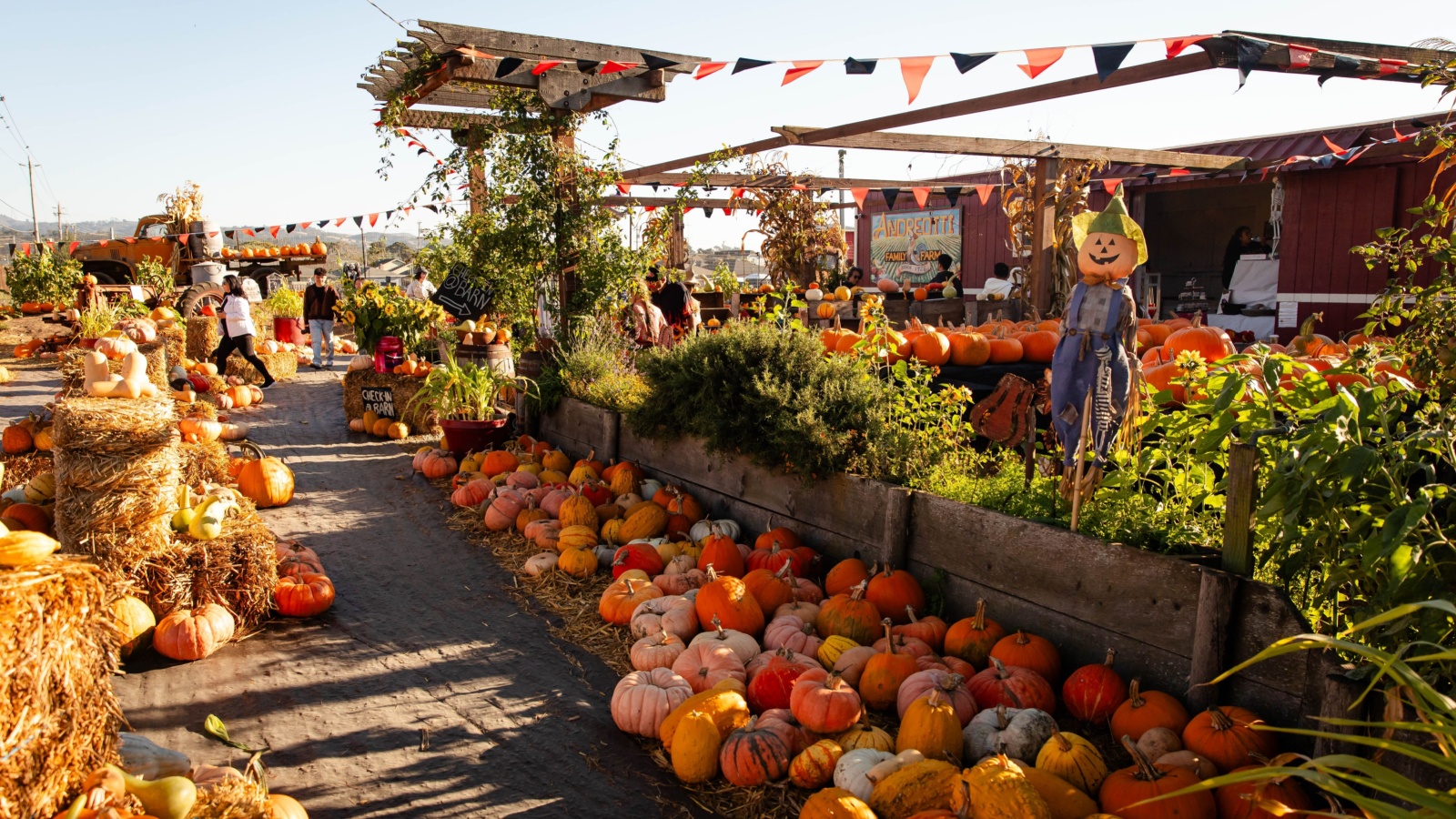 California harvest festivals and cultural events across the state