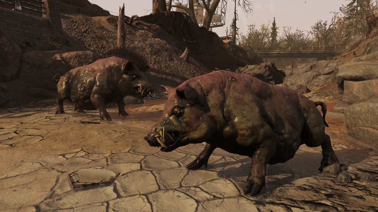 Pet Radhogs are coming to Fallout 76 – and they were inspired by a real ...