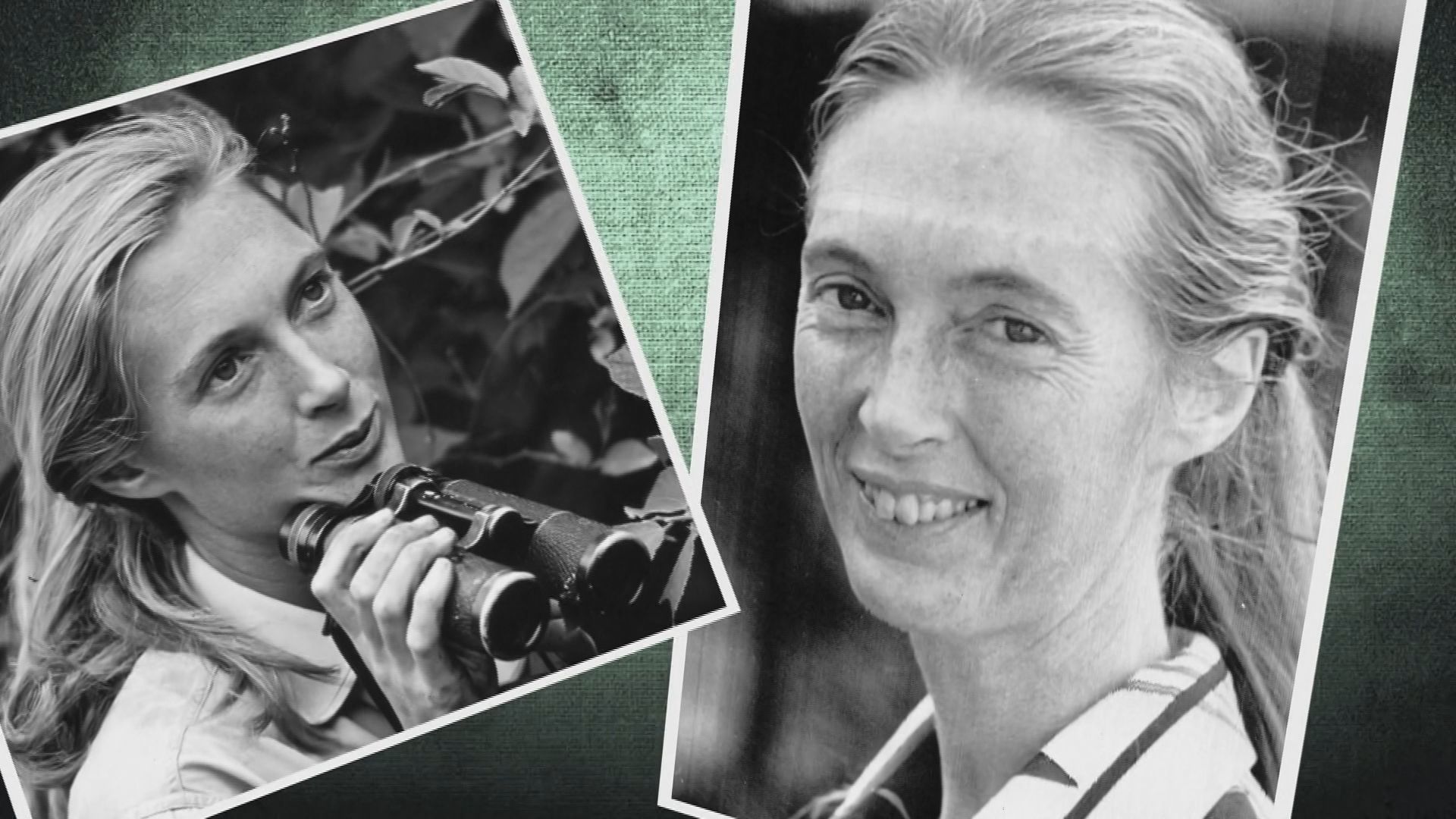 Renowned scientist Jane Goodall dies at 91