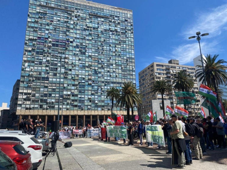 FOICA realiza un paro de 24 hrs este jueves 2 de octubre