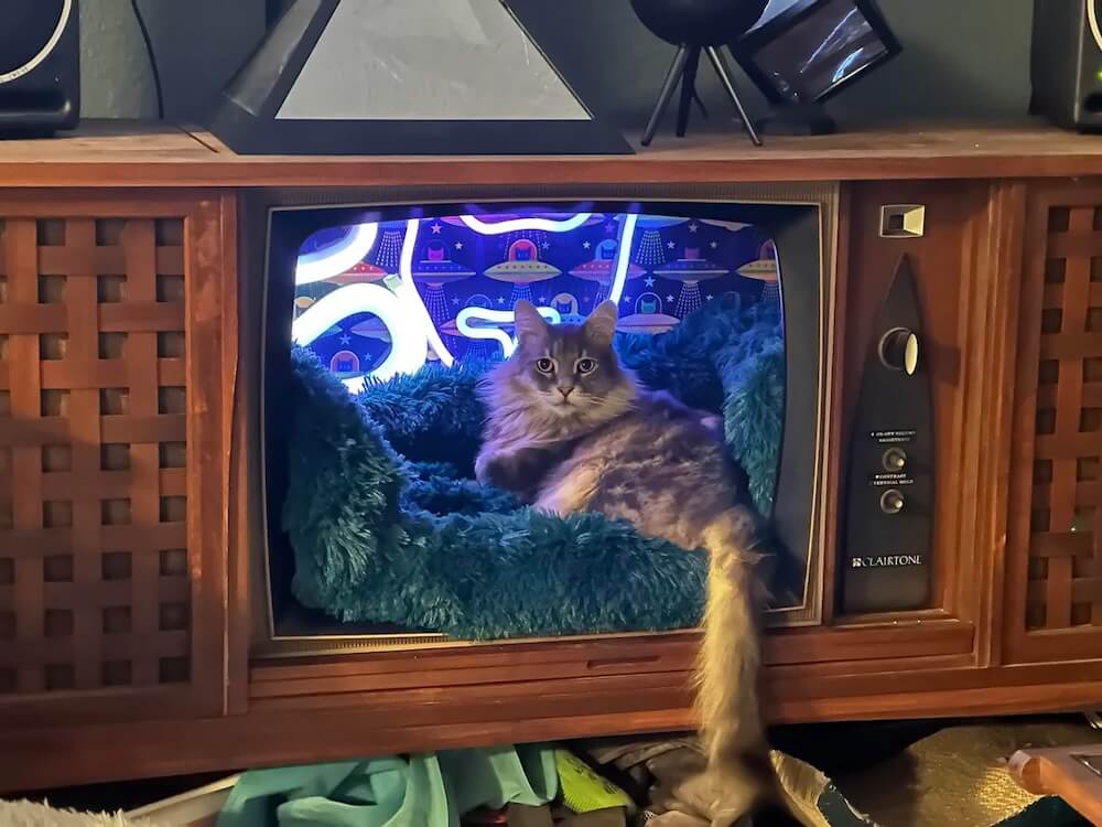 DIYer shares photos after transforming vintage TV console into ...