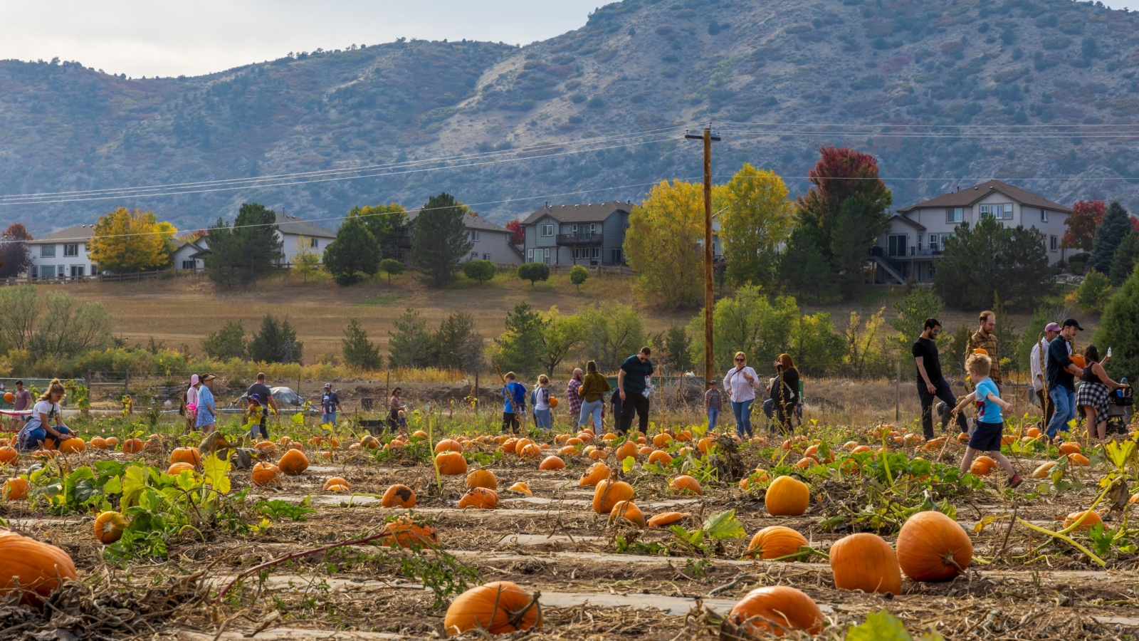 Colorado Denver Oktoberfest and mountain town fall festivals