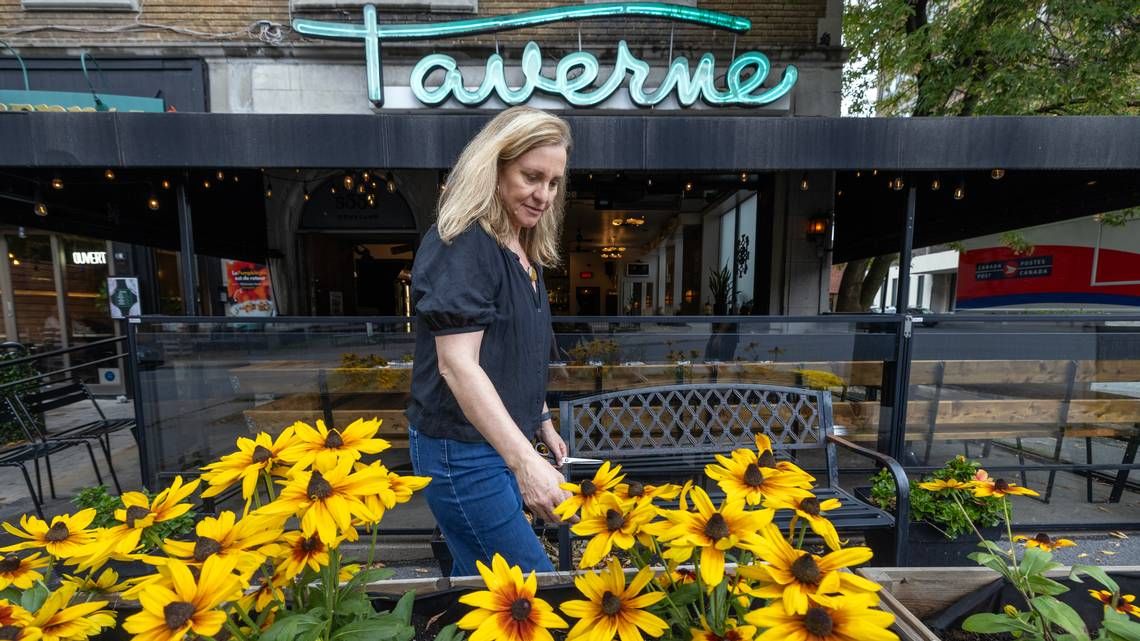Brownstein: Monkland Tavern defies restaurant odds as it marks 30-year ...