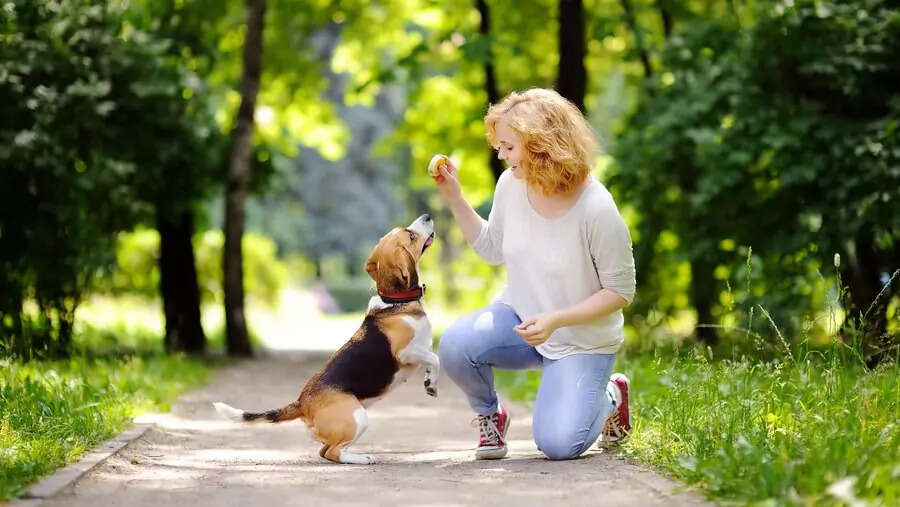 Why Pets Improve Mental Health: Backed by Science