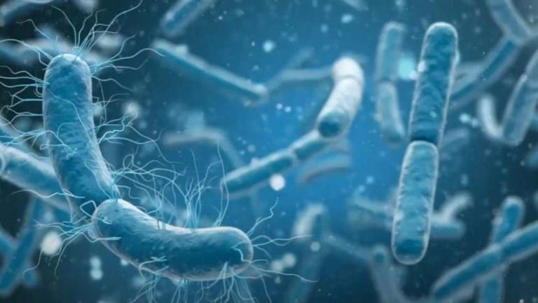 Power-generating bacteria could reshape US energy