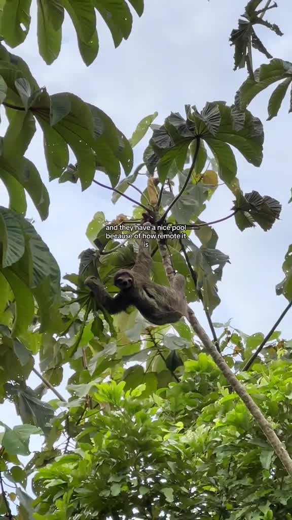 Why Selina Red Frog Is My Dream Jungle Hostel in Panama