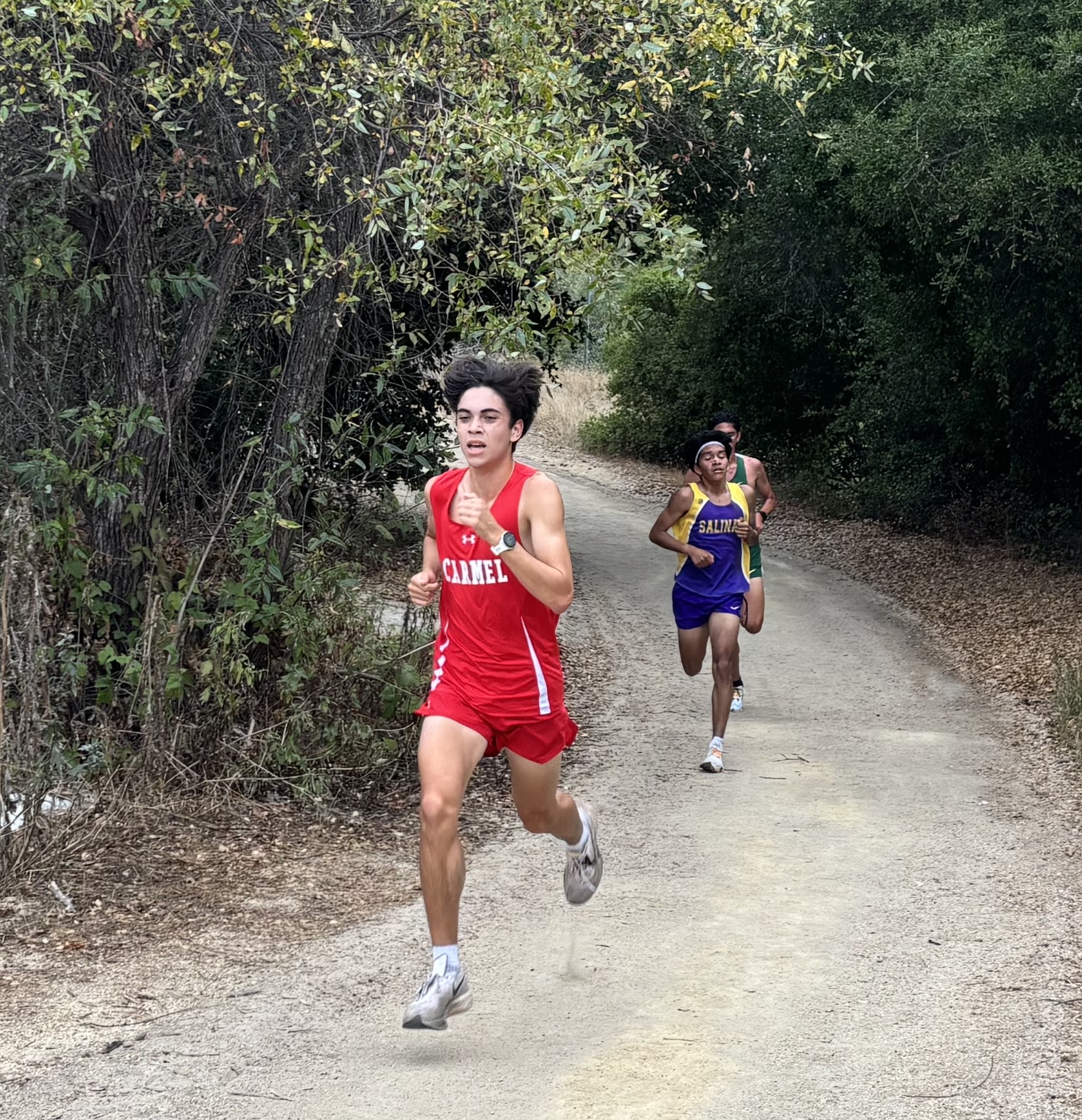 High School cross country: Statements made at PCAL Center Meets