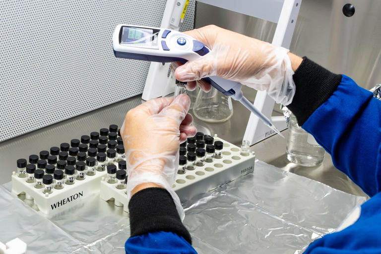 Ancient plankton hint at steadier future for ocean life