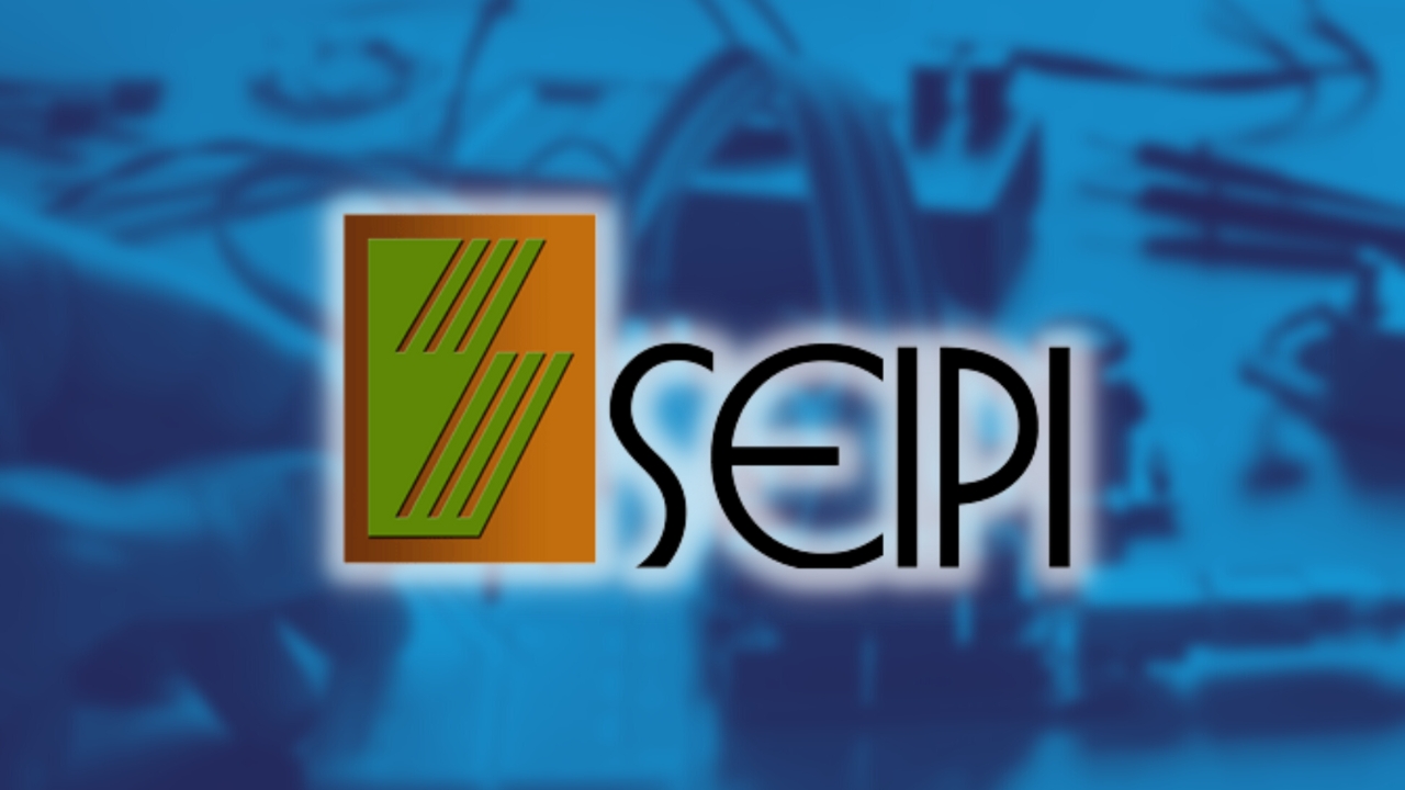 Seipi sees ‘modest’ earnings growth from semiconductor exports this 2025