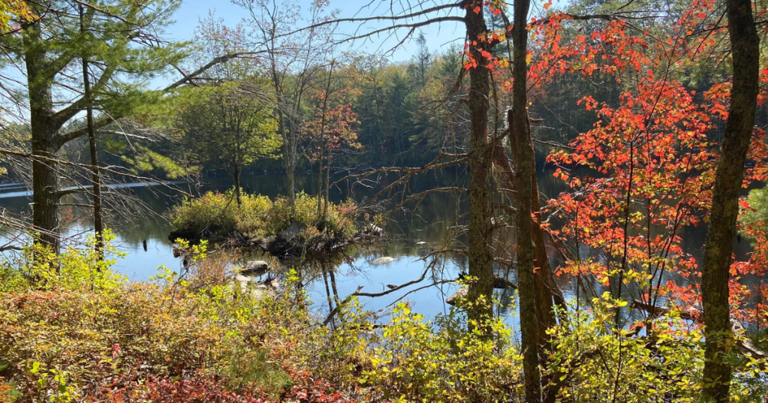 This Underrated Rhode Island State Park Belongs on Your Fall Itinerary