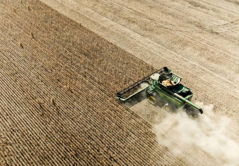 Trump Explores Bailout of at Least $10 Billion for U.S. Farmers