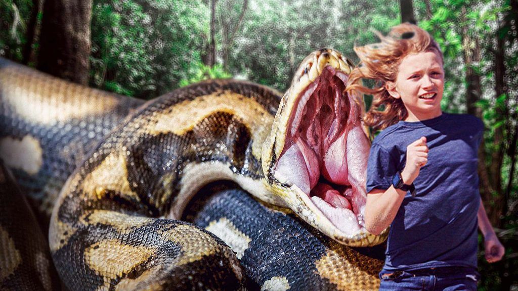 How to Survive Being Swallowed by an Anaconda