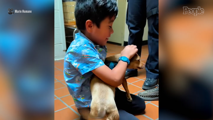 Dog Missing 13 Months and Feared Dead Reunites with Family After Being ...
