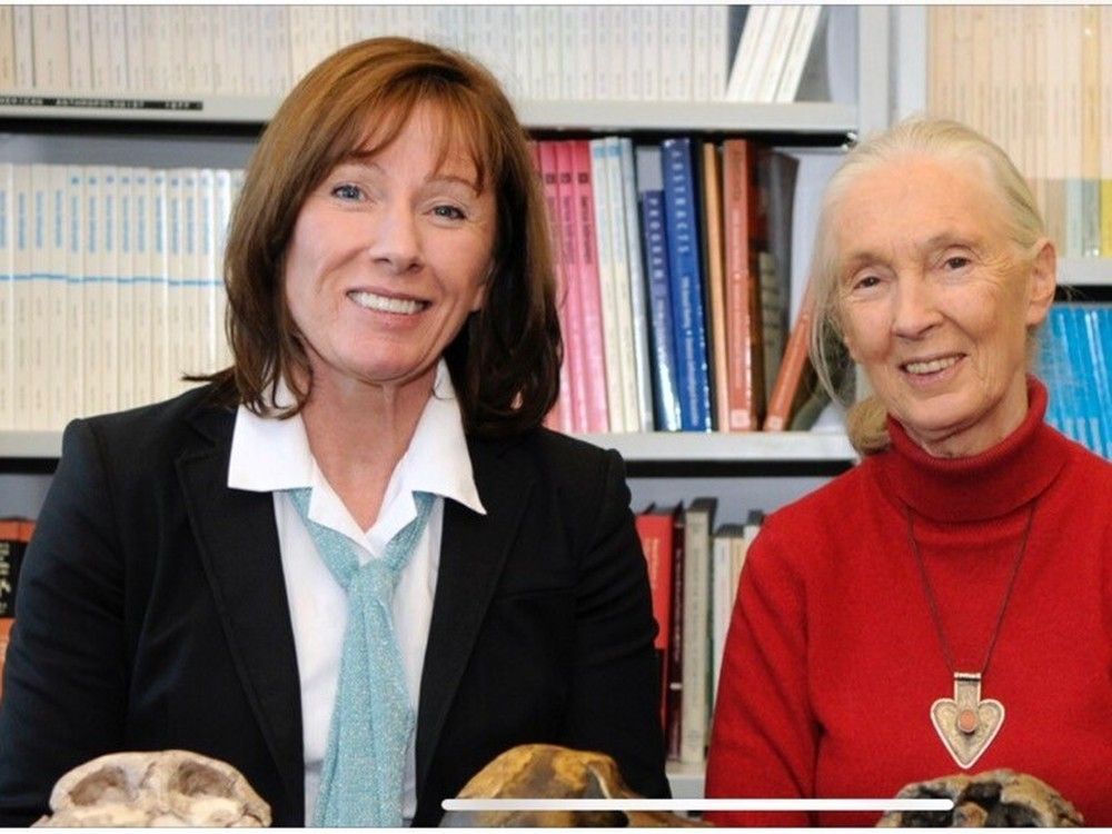 'Huge influence:' professor describes Jane Goodall's legacy with U of C