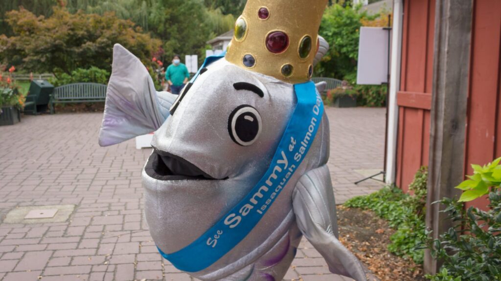 Salmon Days Returns This Weekend