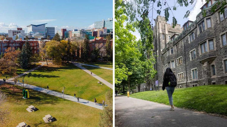 These Canadian universities have free courses and here's what you can ...