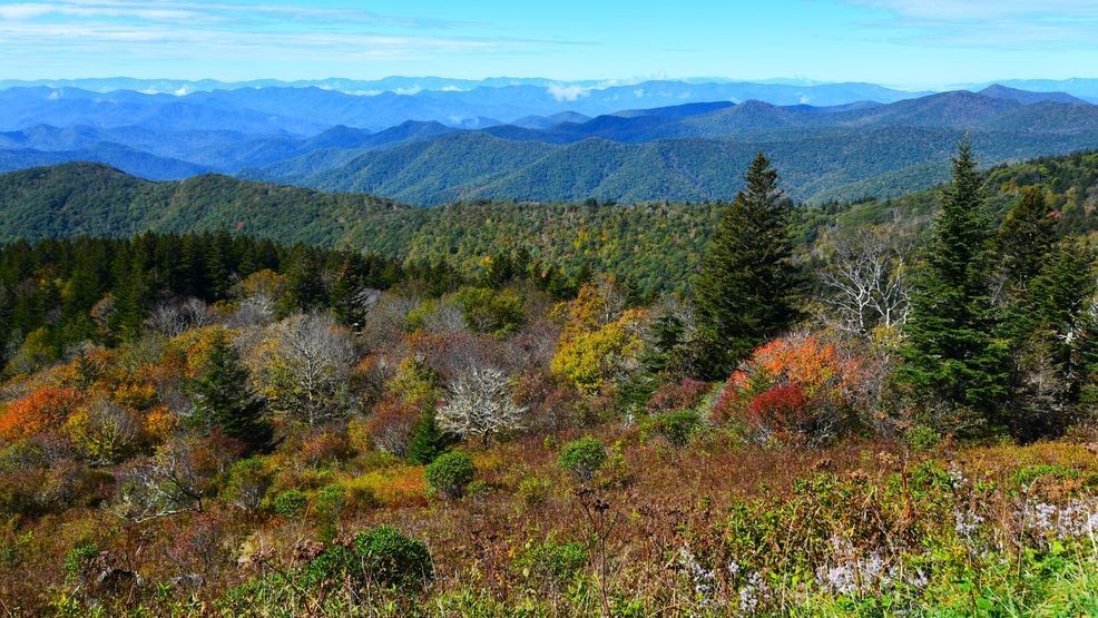 Why North Carolina has one of the longest fall color seasons in the US
