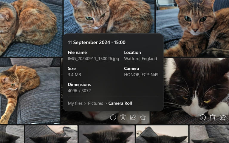 Microsoft is building a new OneDrive app for Windows 11 complete with ...