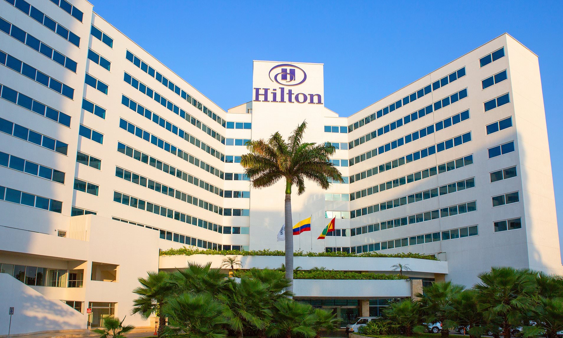 Loyalty schemes are cheapest way to book hotels, claims consumer group ...