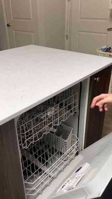Cooking salmon in a dishwasher: The weird trick that actually works