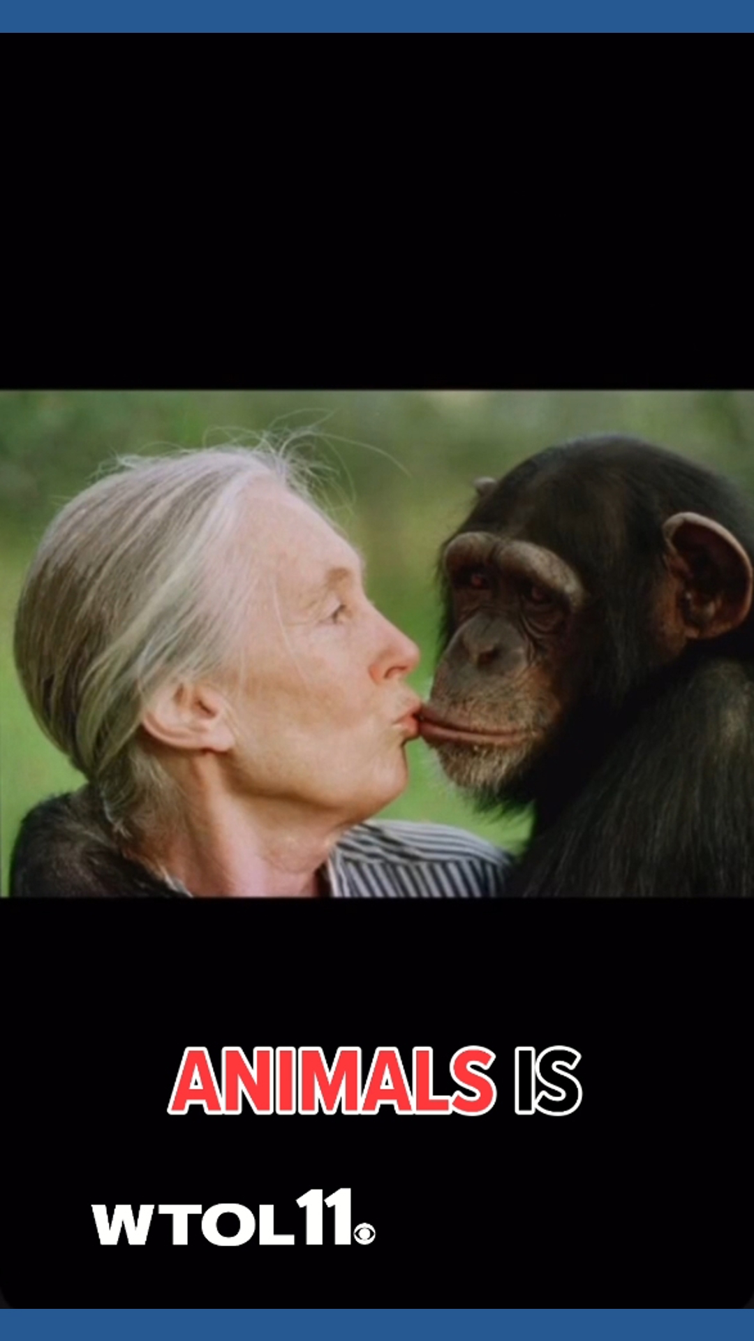 Renowned scientist Jane Goodall was inspiration to Toledo zookeeper