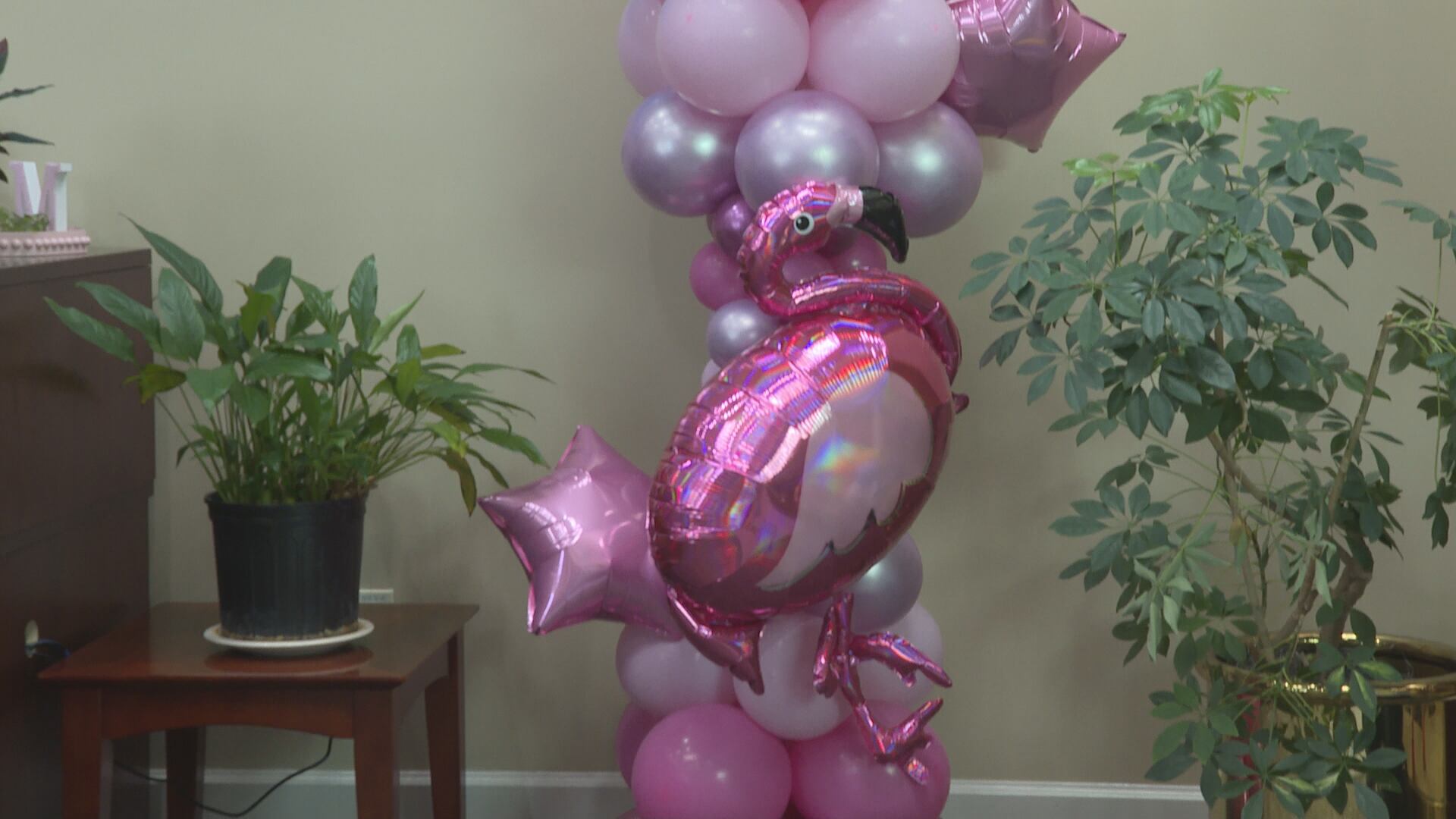 Flamingo Challenge supports local breast cancer patients