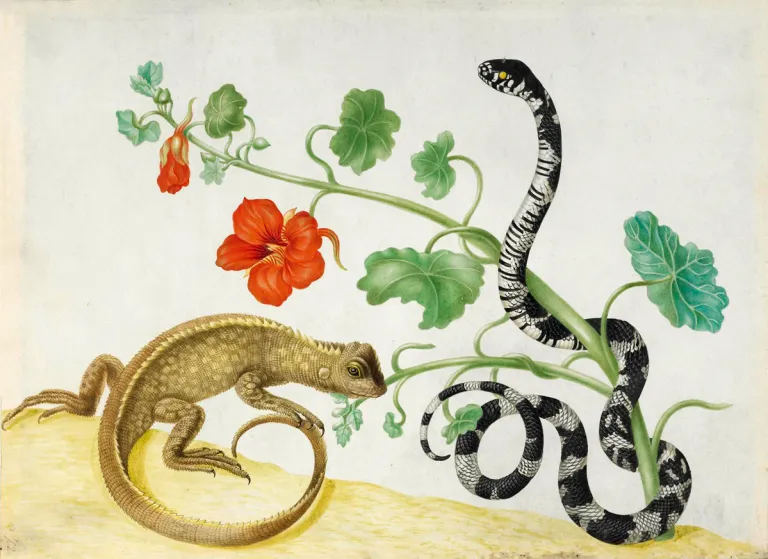 Dorothea Maria Graff: retratos de animales