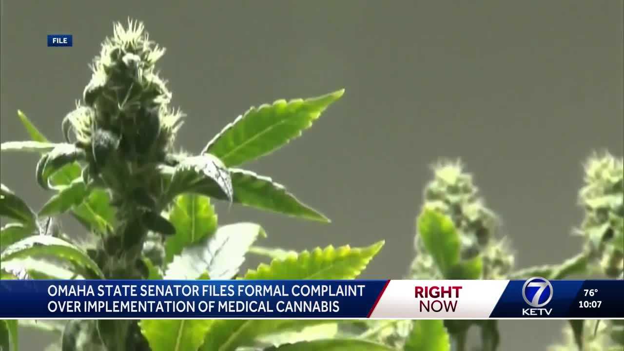 State Sen. John Cavanaugh files formal complaint over implementation of ...