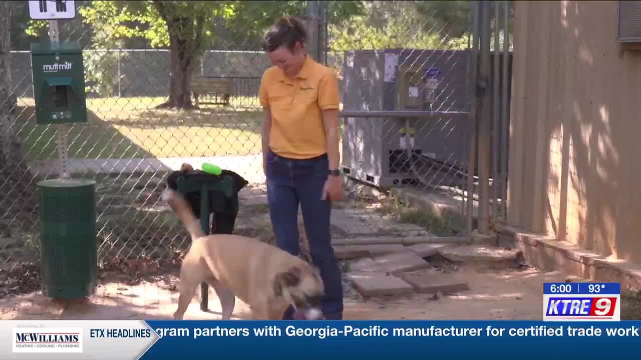 New animal shelter coordinator aims to reduce euthanasia rates in ...