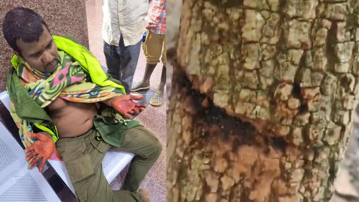 Chenchu man attacked for exposing poaching in forests of Telangana