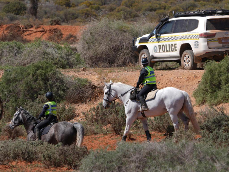 Sad update in outback search for little Gus
