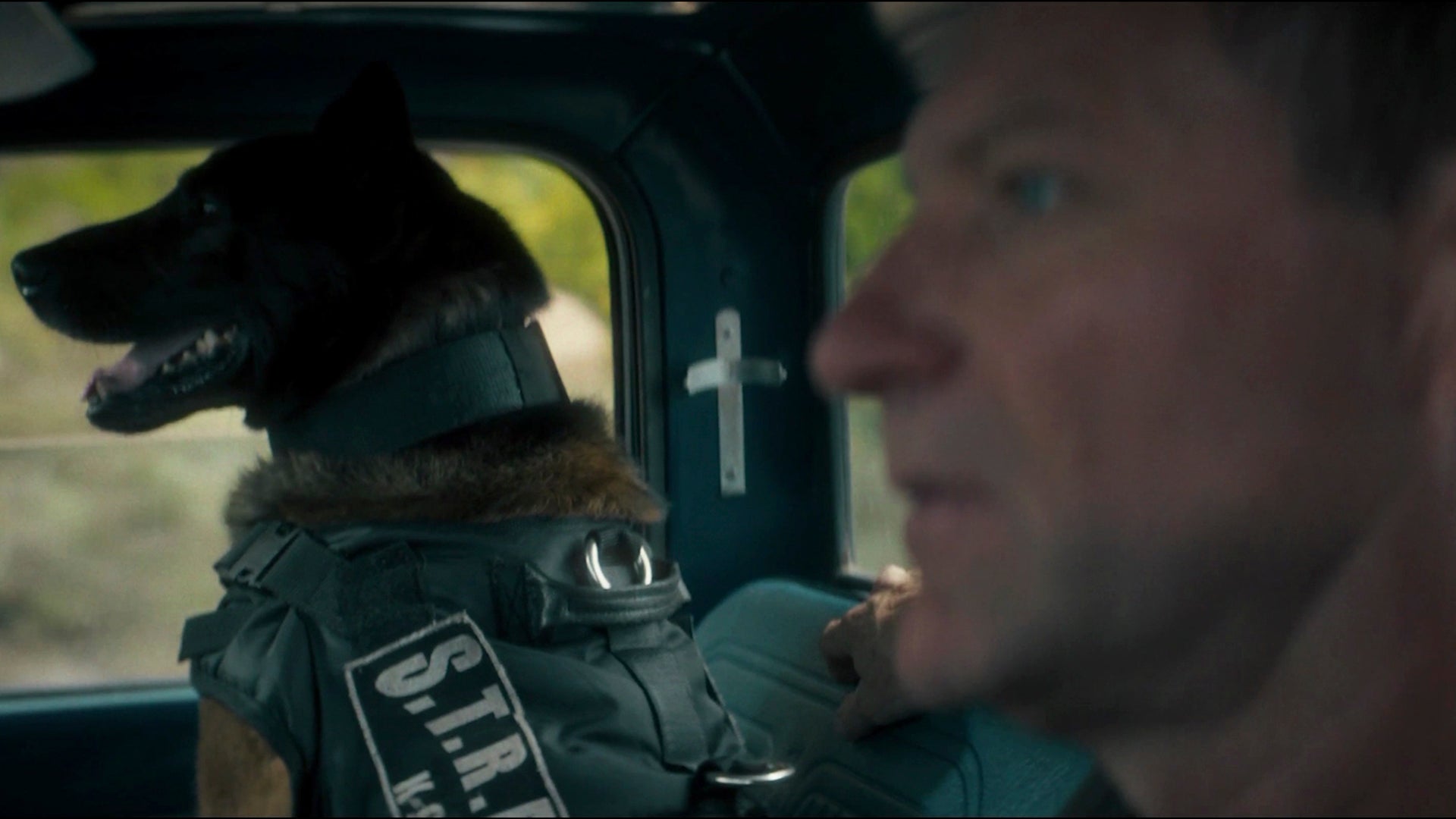 Muzzle: City of Wolves Exclusive Trailer
