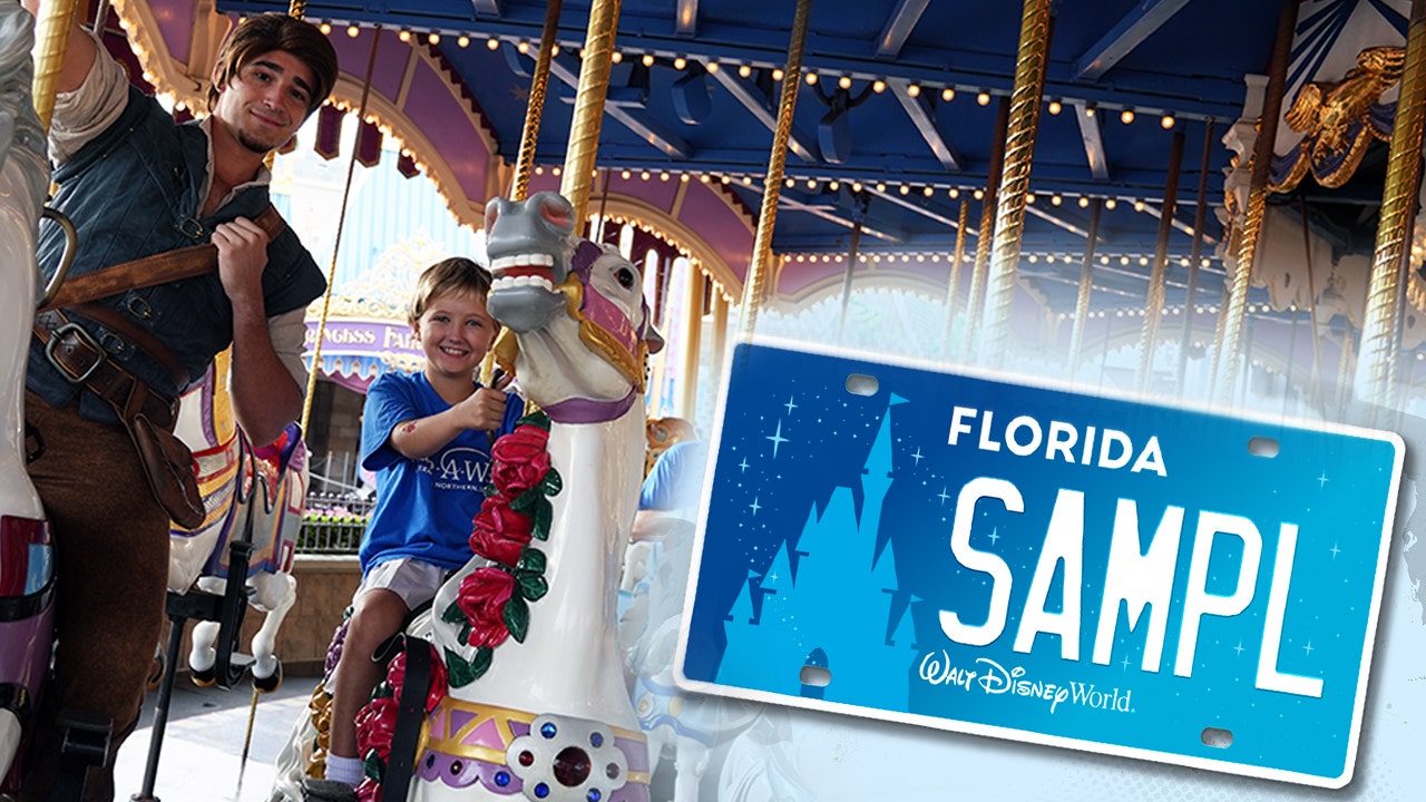 Disney specialty license plate raises $5M for Make-A-Wish kids: 'Power ...