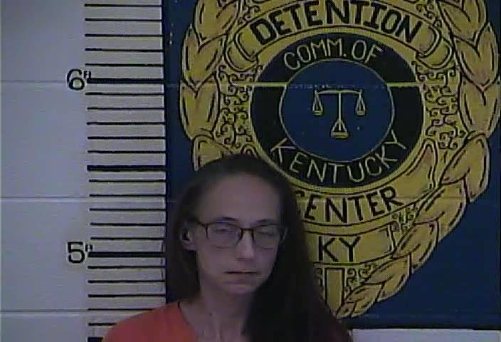 Clay County burglary suspect said house ‘looked cool’